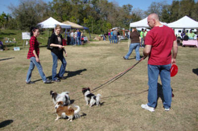 4 Outdoor Activities that You and Your Pet Can Do Together - My Pet's ...