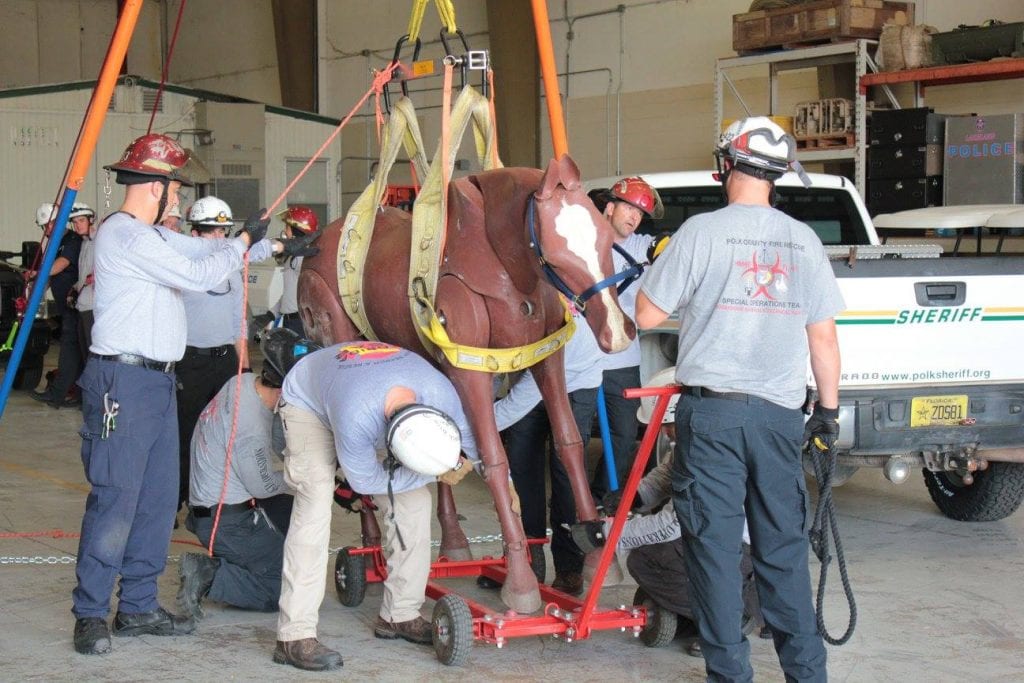 USAR: Large Animal Rescue Training Course - My Pet's Animal Hospital ...